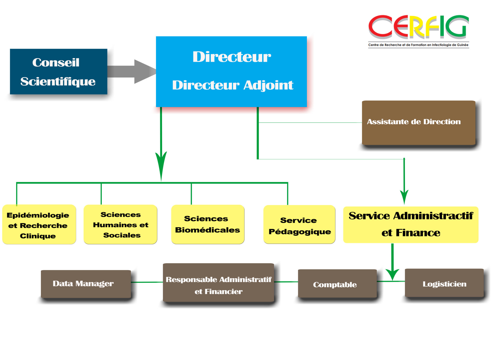 Organigramme - CERFIG
